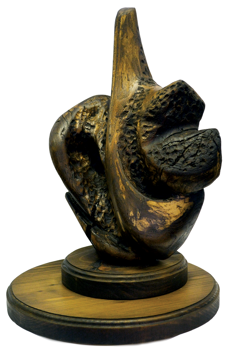 Inclusion in Art – Spirit of Color – [Inclusion In Art]